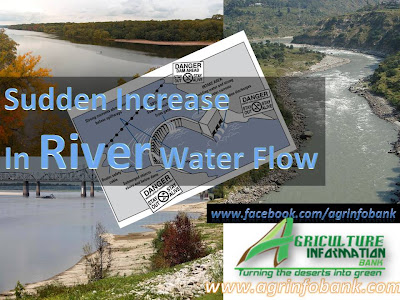 Sudden increase in river water flow | Farming: Feed the hungry world