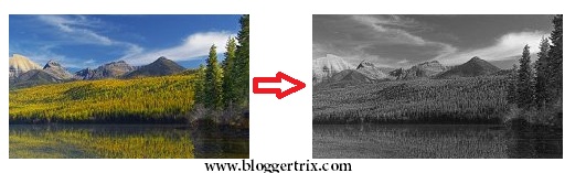 Fade/Greyscale jQuery Mouse Hover Effect For Blogger | Blogger Tips | Blogger Tricks | SEO | CSS ...