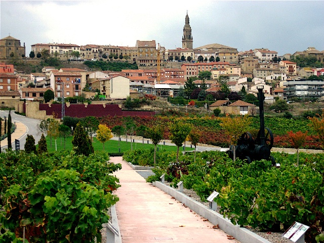 WINE:Reno Spiteri's Wineopolis.: The World's Top Ten Most Famous Wine ...