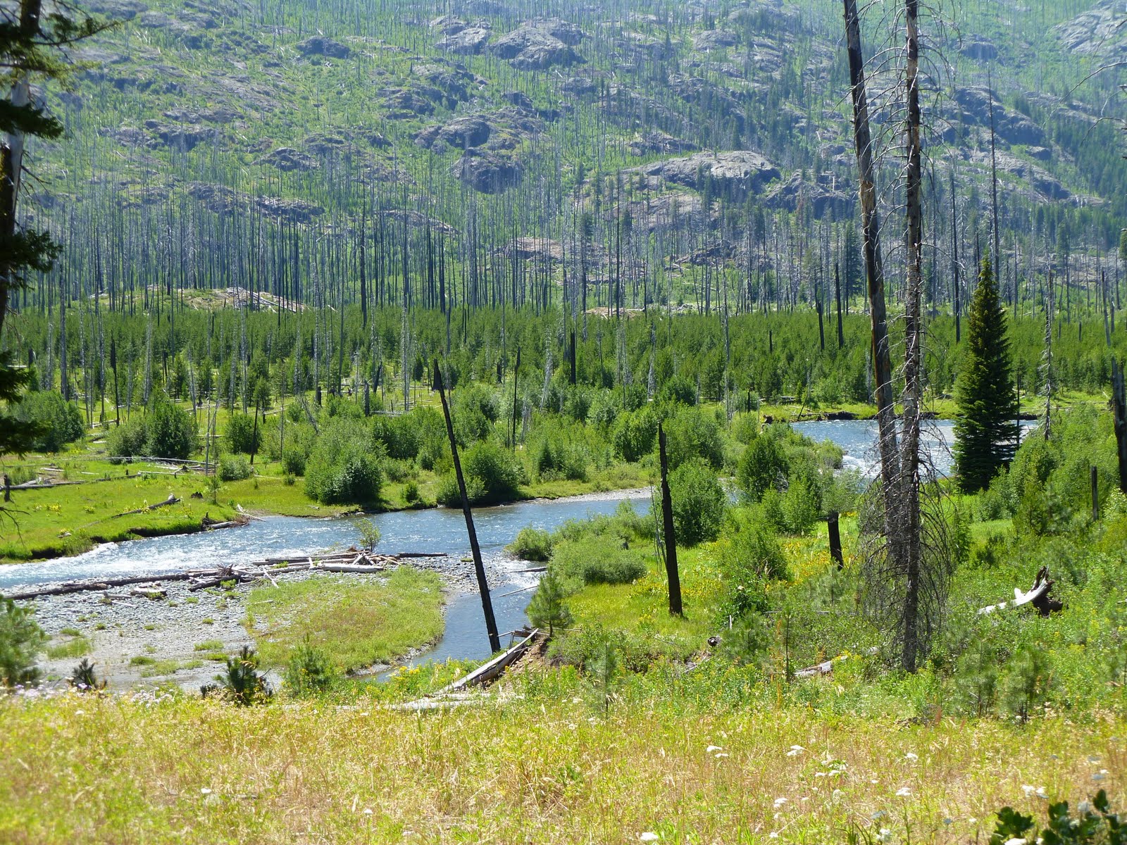 Oregon Hells Canyon National Recreation Area: July 25 - Upper Imnaha River