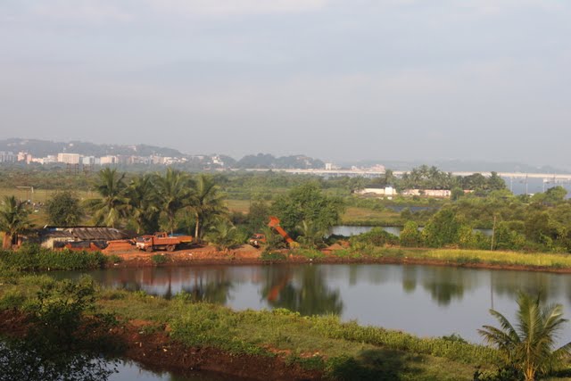 Bio-diversity of Goa: Ribandar & Chorao