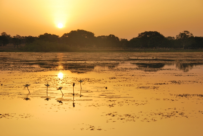 Le lac de Tengrela: Faites y un tour - Tourisme au Burkina
