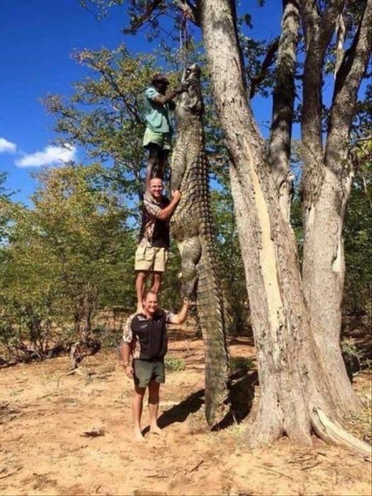 Irons in the Fire: Pic clearing