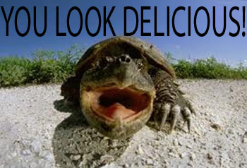 my merp merp merp blog: August 2012