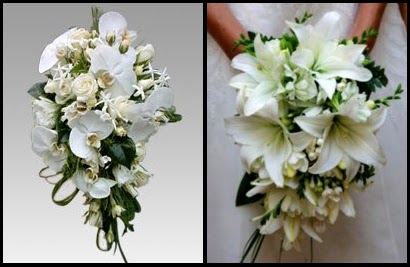 MEDICA INDIGO: AZAHAR