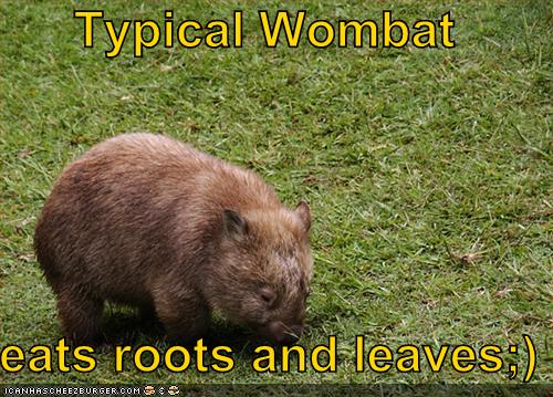 Confessions of a Watery Tart: Grammar Jokes