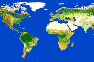Blog de Geografía e Historia 1ºESO IES La Flota: TEMA 3 LAS FORMAS DE ...