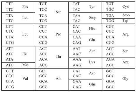 We need to talk about science: DNA: o que é e por que é tão importante?