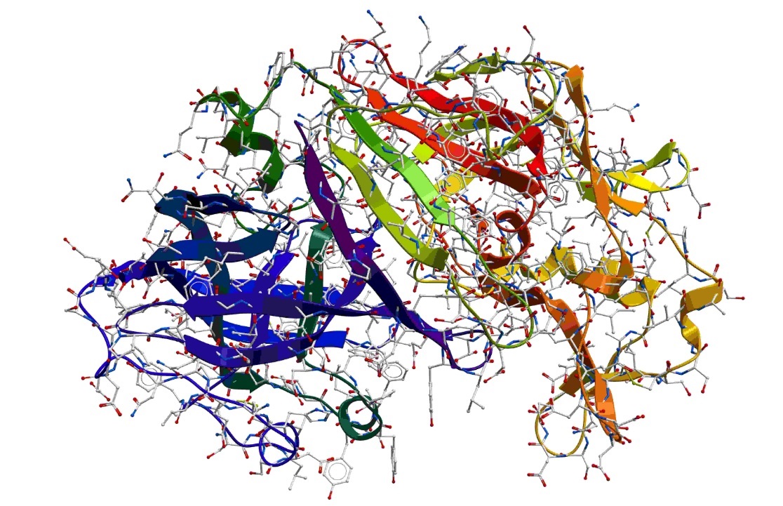 Counter Brew: Making Great Beer with Common Sense. : A beer geek guide ...
