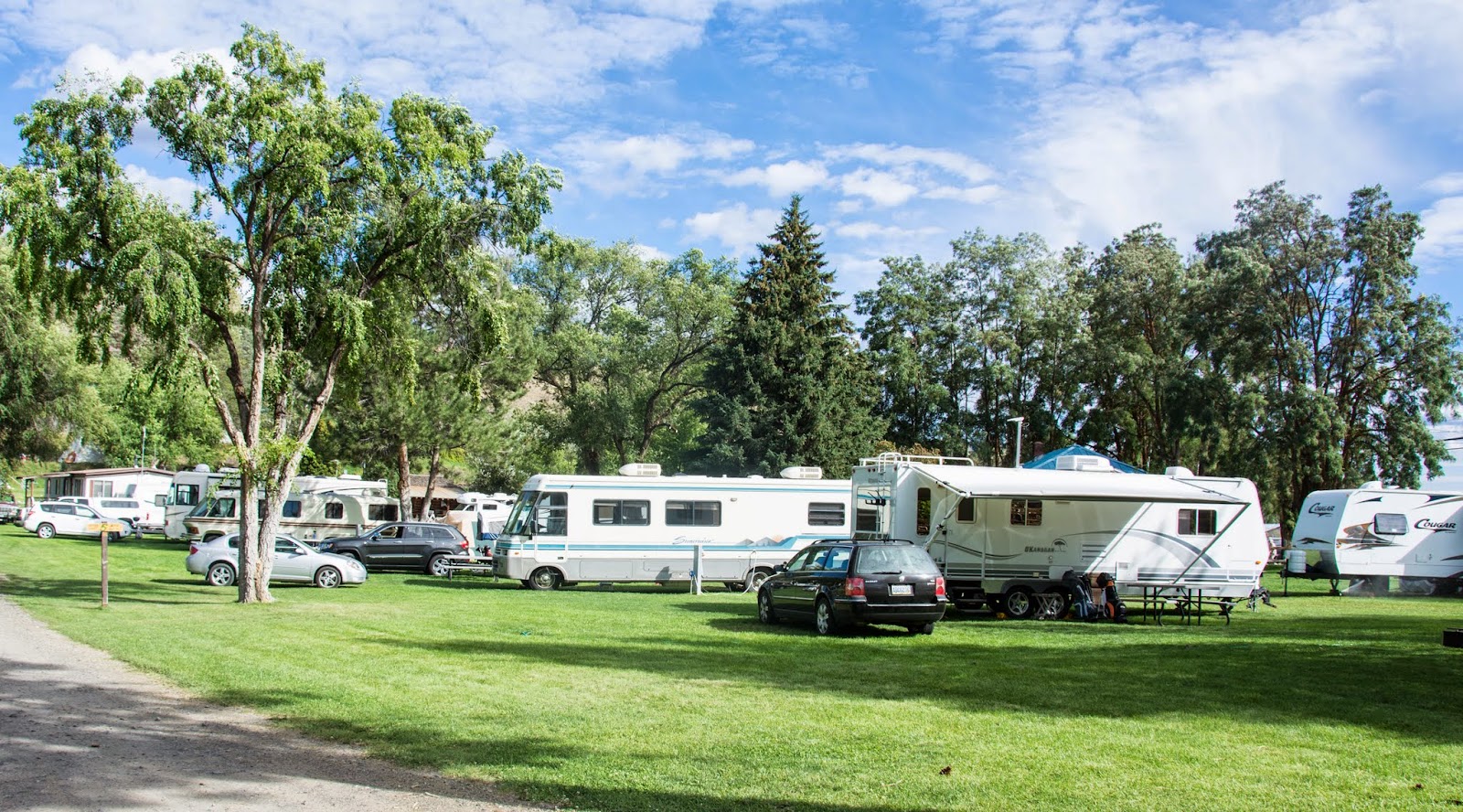 Pine Near RV Park and Campground!