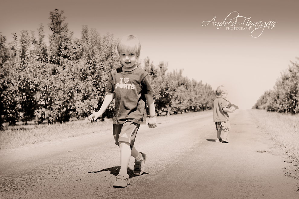 Andrea Finnegan Photography