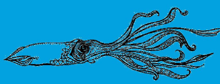 THE OLD SQUID