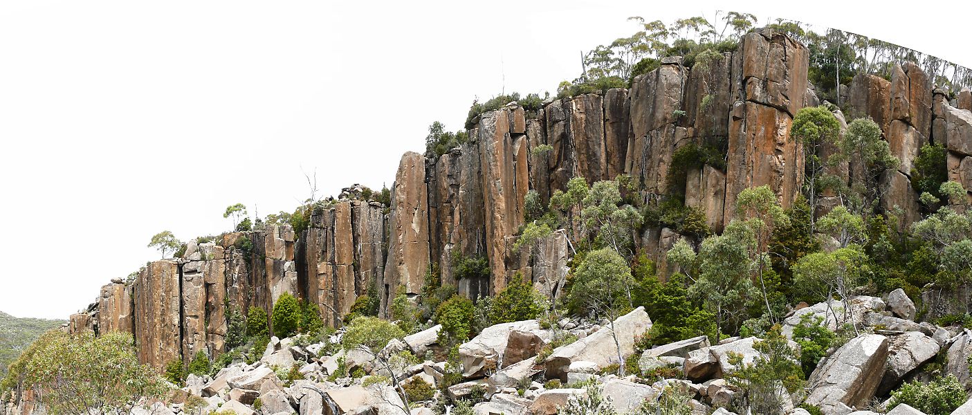 Mark's Tasmanian Bush Blog: Lost World Circuit - 8th January 2013