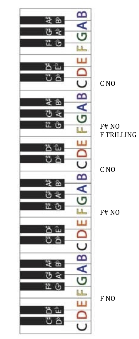Audio Travels: Wurlitzer/Hohner P100 Portable Keyboard