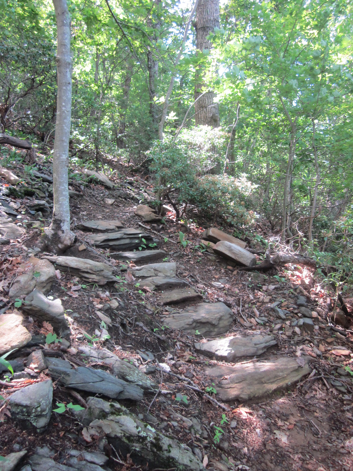 Travel NC With Kids: Mount Jefferson State Natural Area - Beautiful View!