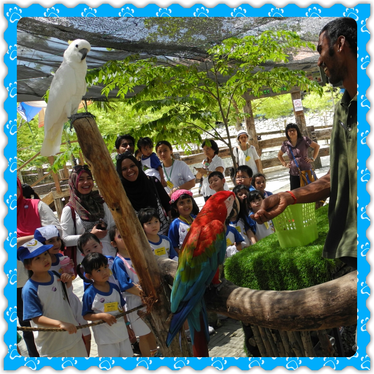 Creating A Winner In Every Child: 4. PARROT SHOW
