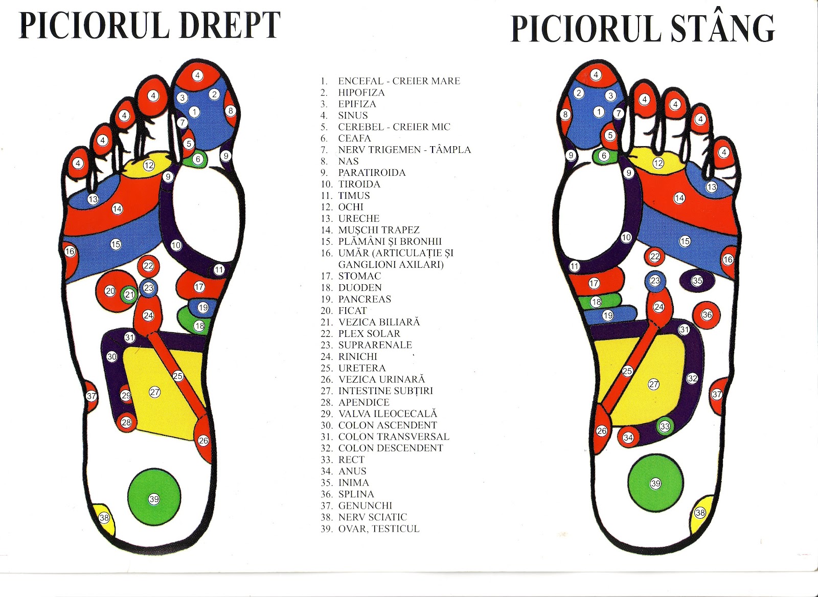 masaj terapeutic cluj: Reflexologia