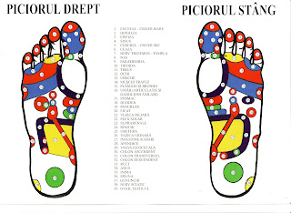 masaj terapeutic cluj: Reflexologia