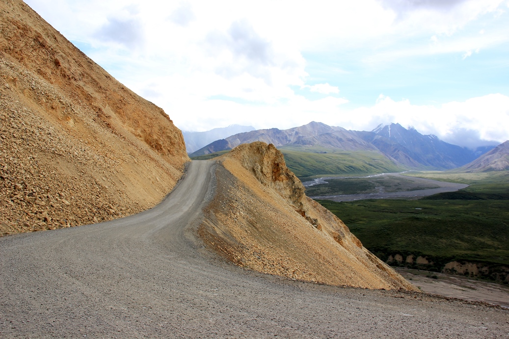 Joy of Discovery: Toklat, Denali National Park