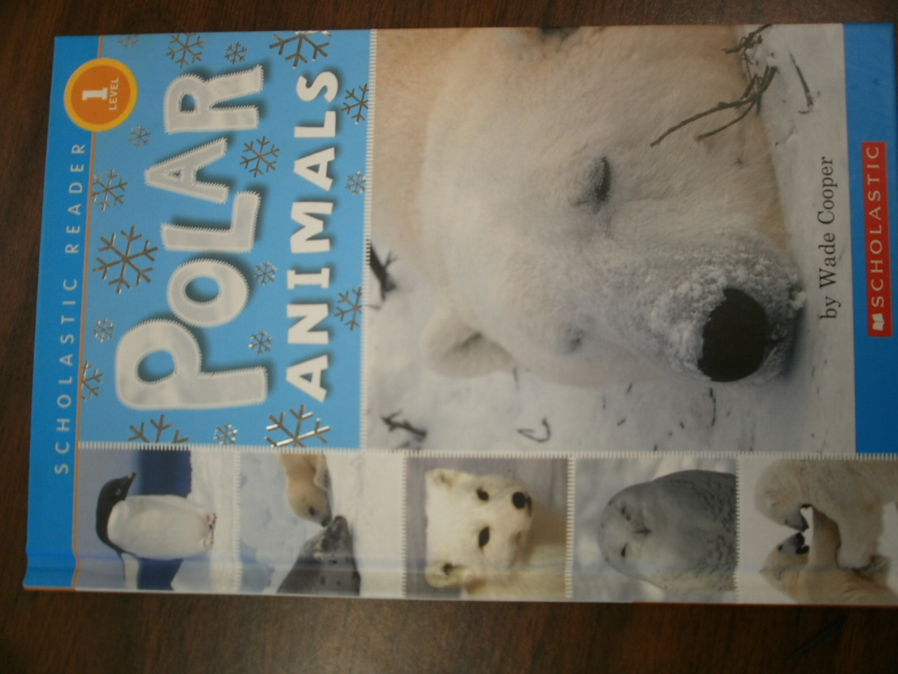 K-1 Teaching Besties: Polar Animals Anchor Chart