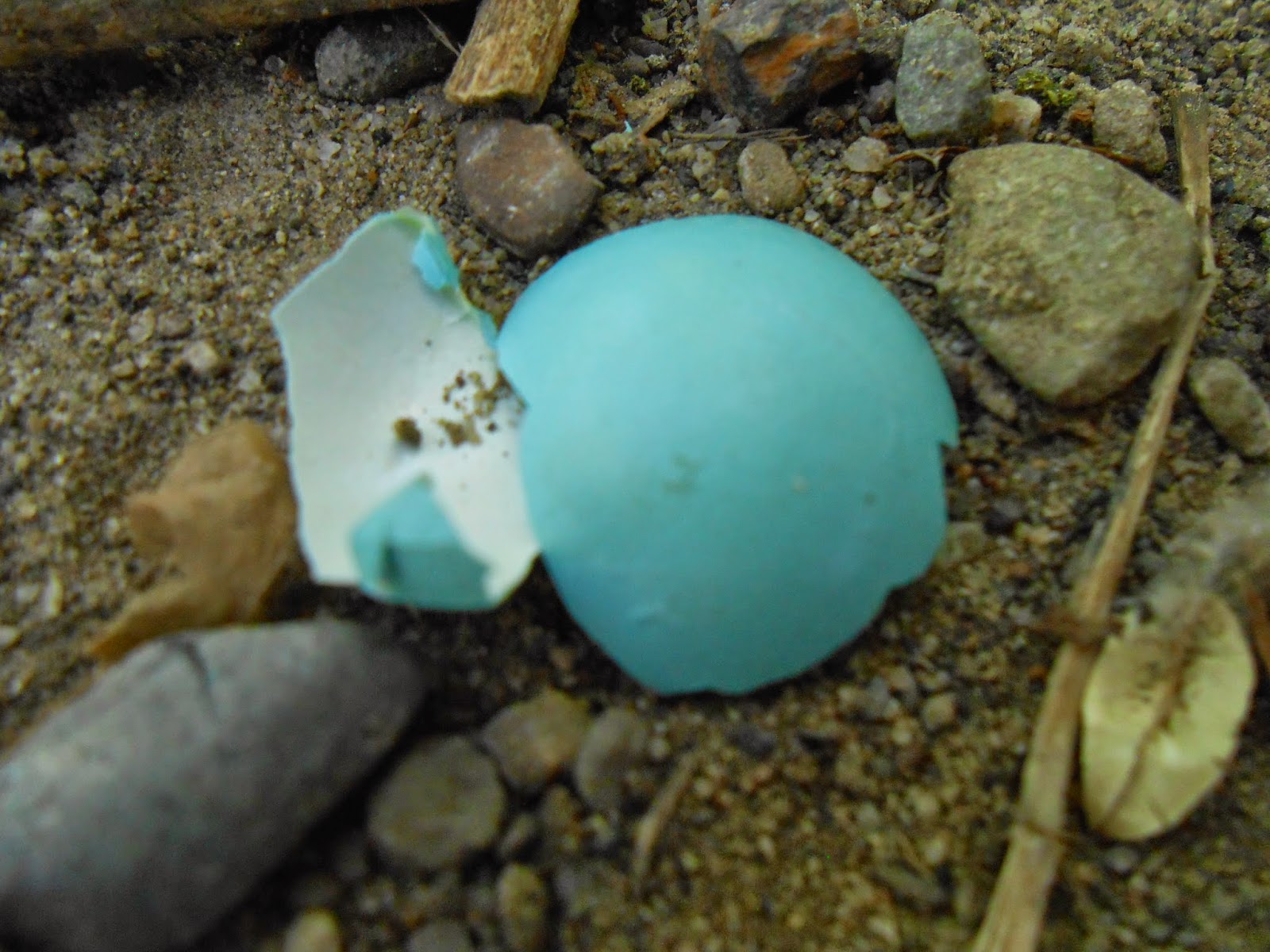 Dance of Life: Purgatoire Riverwalk