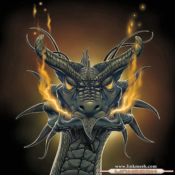 Sobre dragones... MUNDO SEELFREI