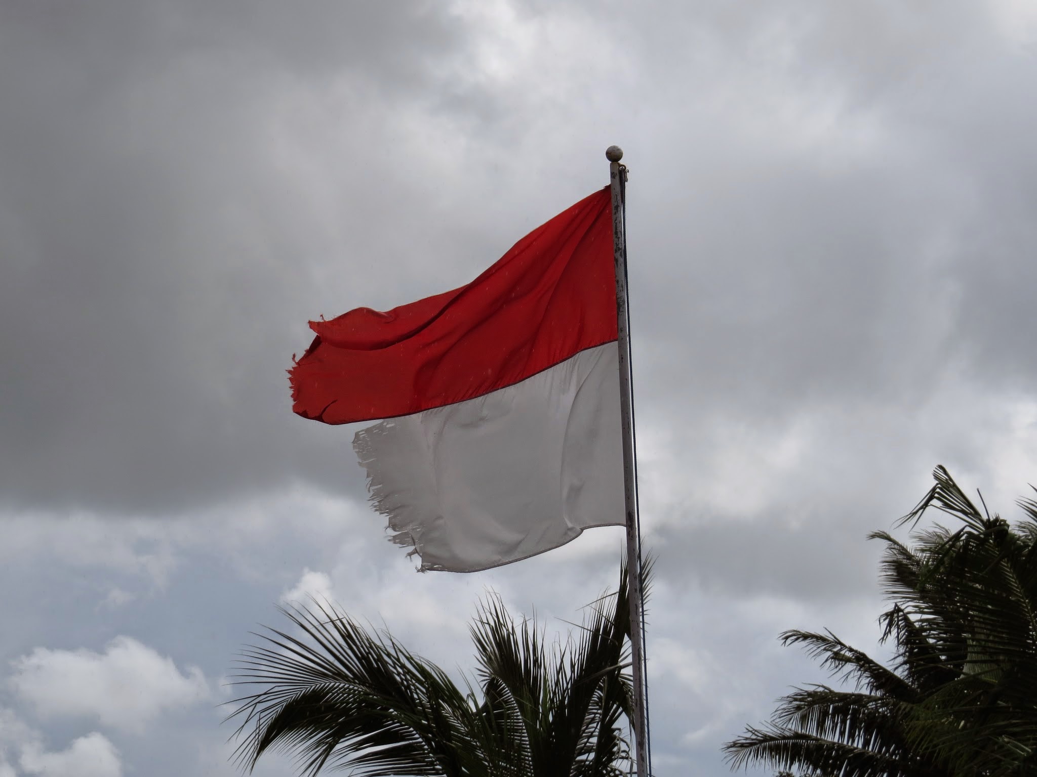 Merah Putih Yang Terkoyak (Foto/Admin)