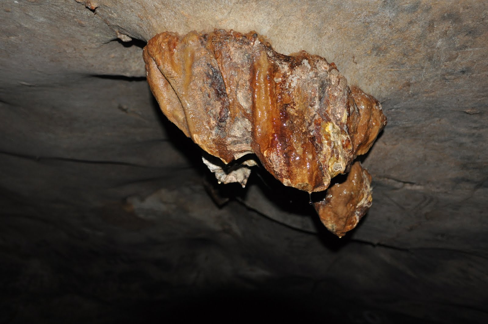 THE QUANTUM SINGULARITY: Gua Kota Gelanggi, Day 2: Gua Penyu, Gua Ular ...