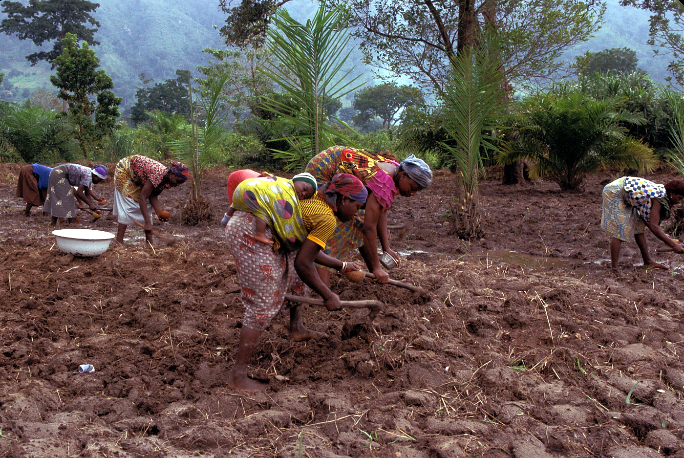a heart for others: Togo Facts