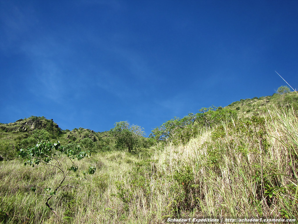 Mt. Vulcan Trail 580 MASL : Schadow1 Expeditions | A travel and mapping ...