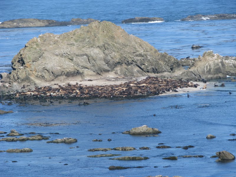 June 6 -9, 2011 – Southern Oregon Coast