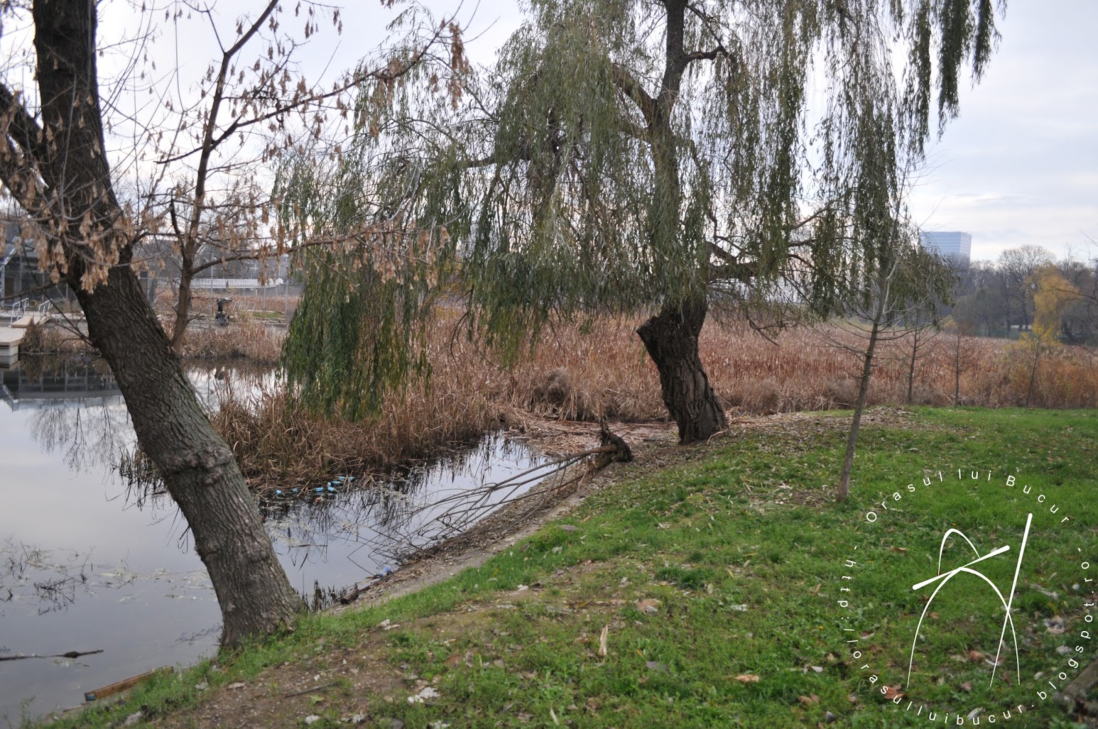 Orasul lui Bucur: Lacul din Parcul Bordei