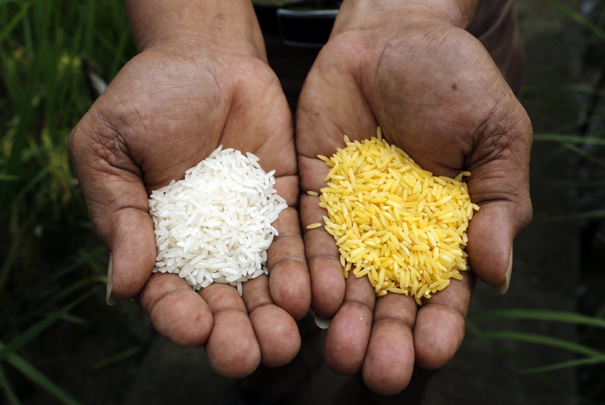 Health Hub: What is Golden Rice?