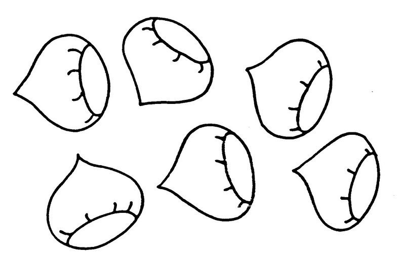 Dibujos Castañera Para Colorear