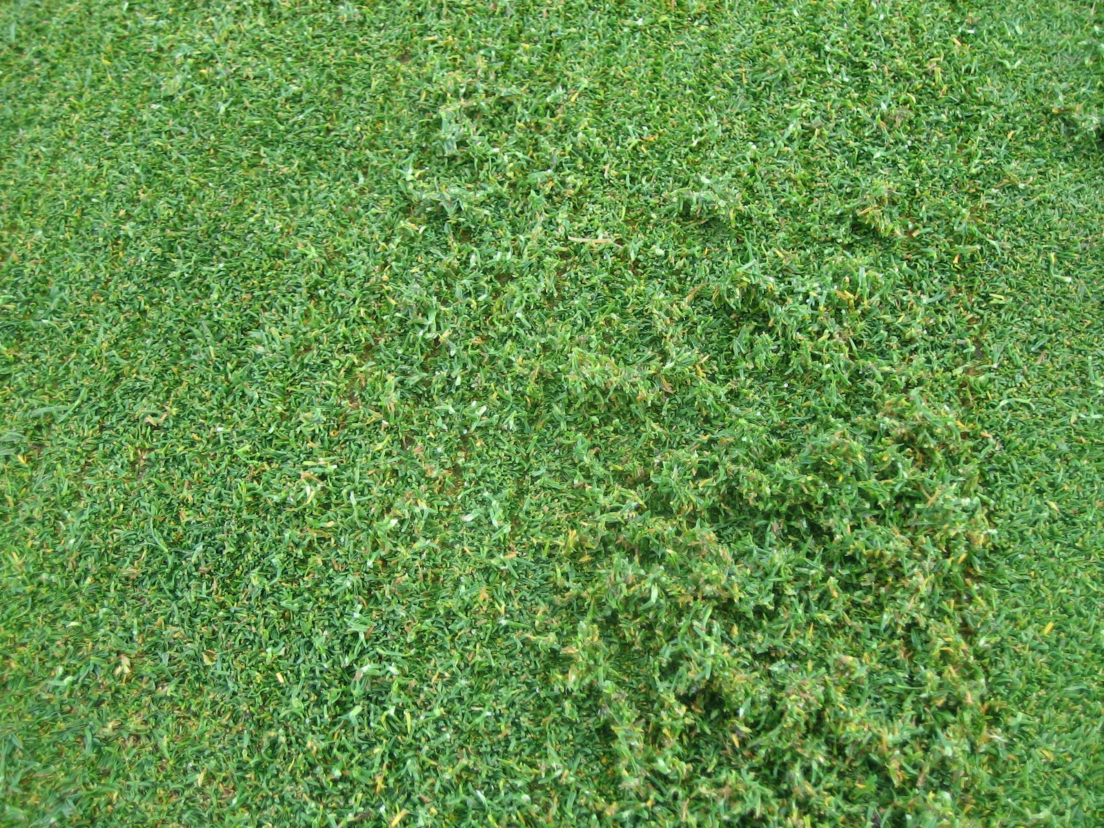 Golf Course Clippings: Vertical Mowing