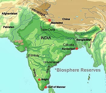 natural vegetation .......... Anuj Sarwan NATURAL VEGETATION India is ...