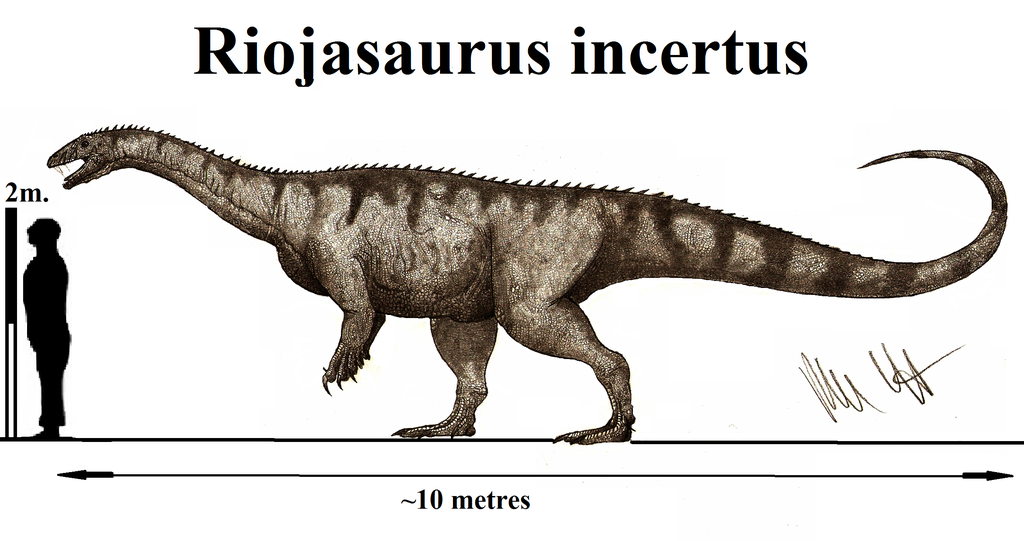 Noticias de Paleontologia: Riojasaurus incertus del Triasico de “Los Colorados”