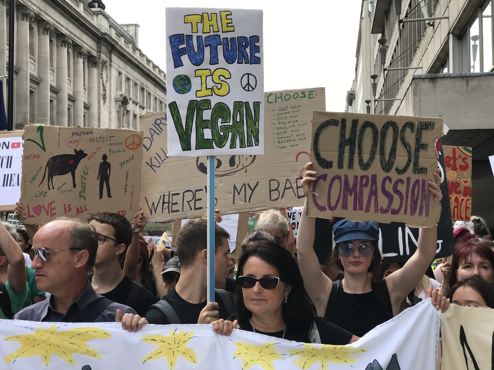 VEGANISM: A TRUTH WHOSE TIME HAS COME: 175 Signs-of-Justice from Around ...