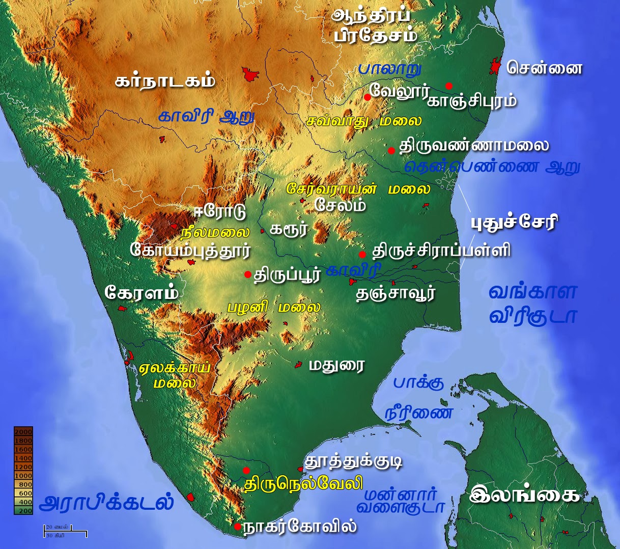 ஊராட்சி ஒன்றிய தொடக்கப்பள்ளி சடையம்பட்டி.(பொன்னமராவதி ஒன்றியம் ...