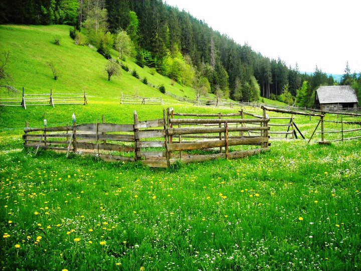 Spring in Bucharest, Romania ~ Entertainment-Enter
