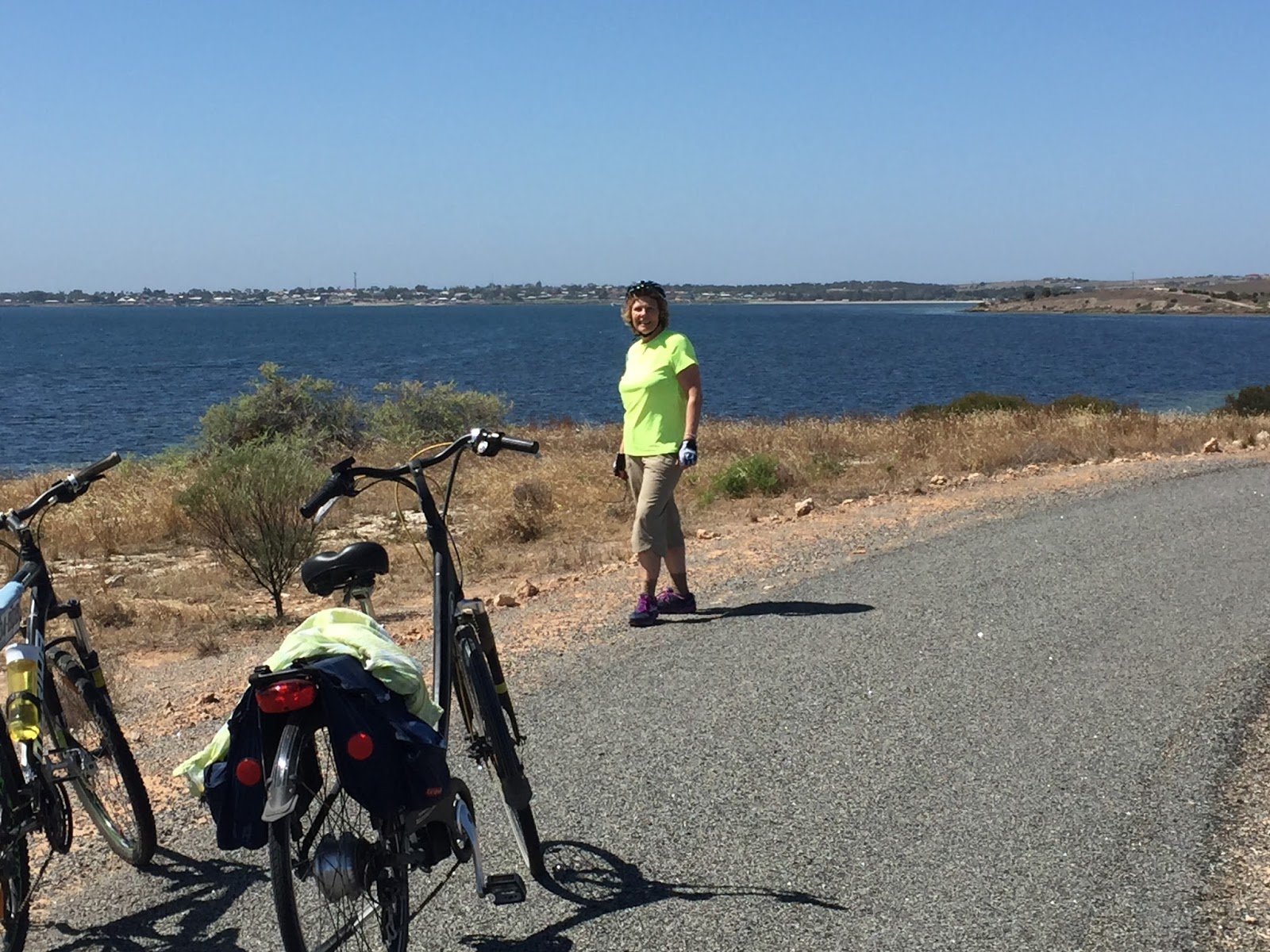 Australian Adventures: Swim with Sea Lions and Dolphins at Baird Bay, SA