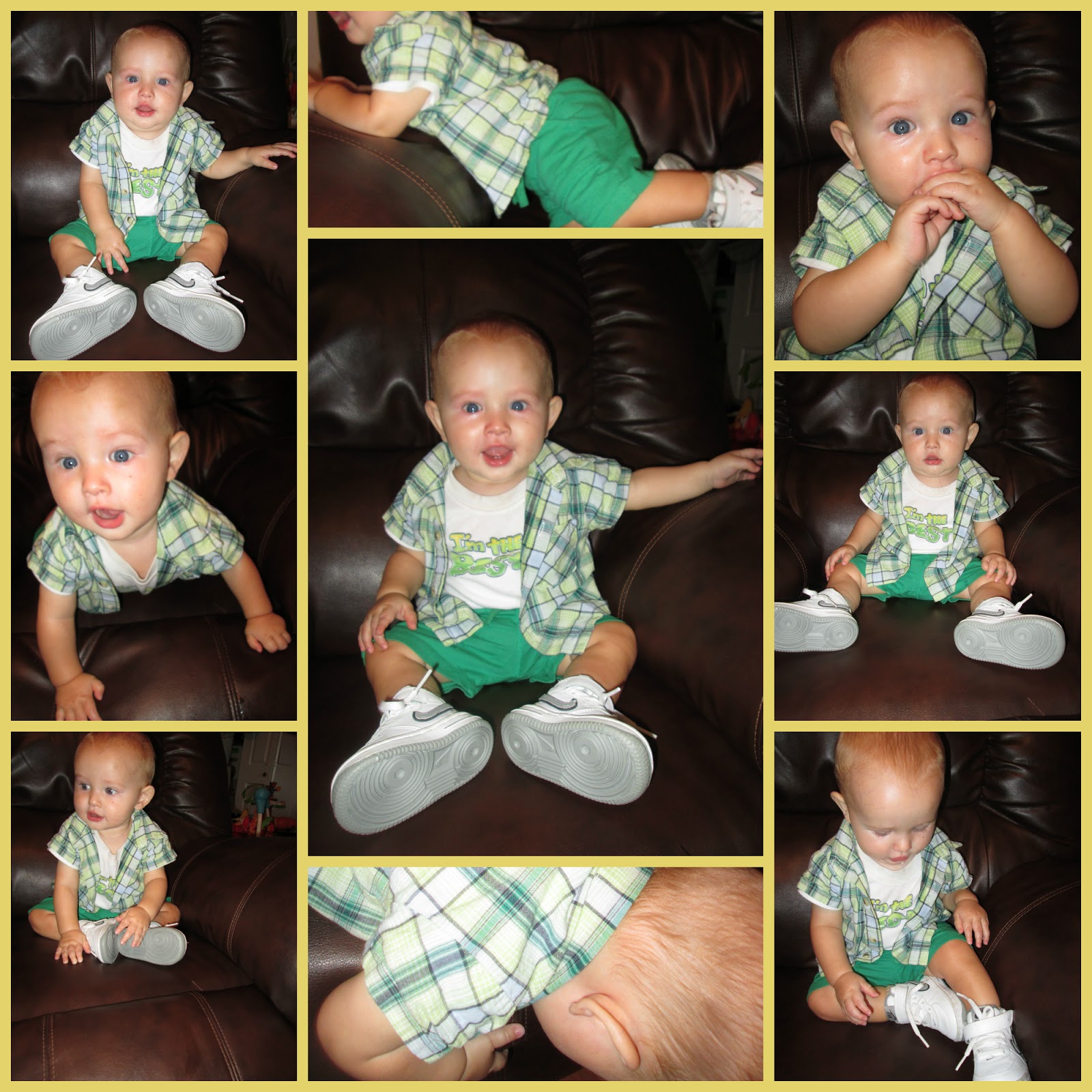 ELLISON: 33 weeks old