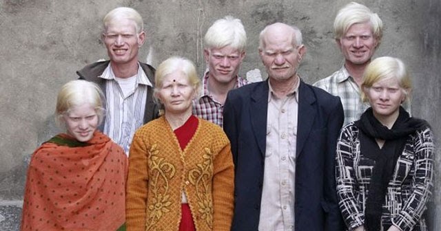 Aneh Tidak Biasa Mereka Keluarga Paling Unik Yang Jarang Ada - Berita ...