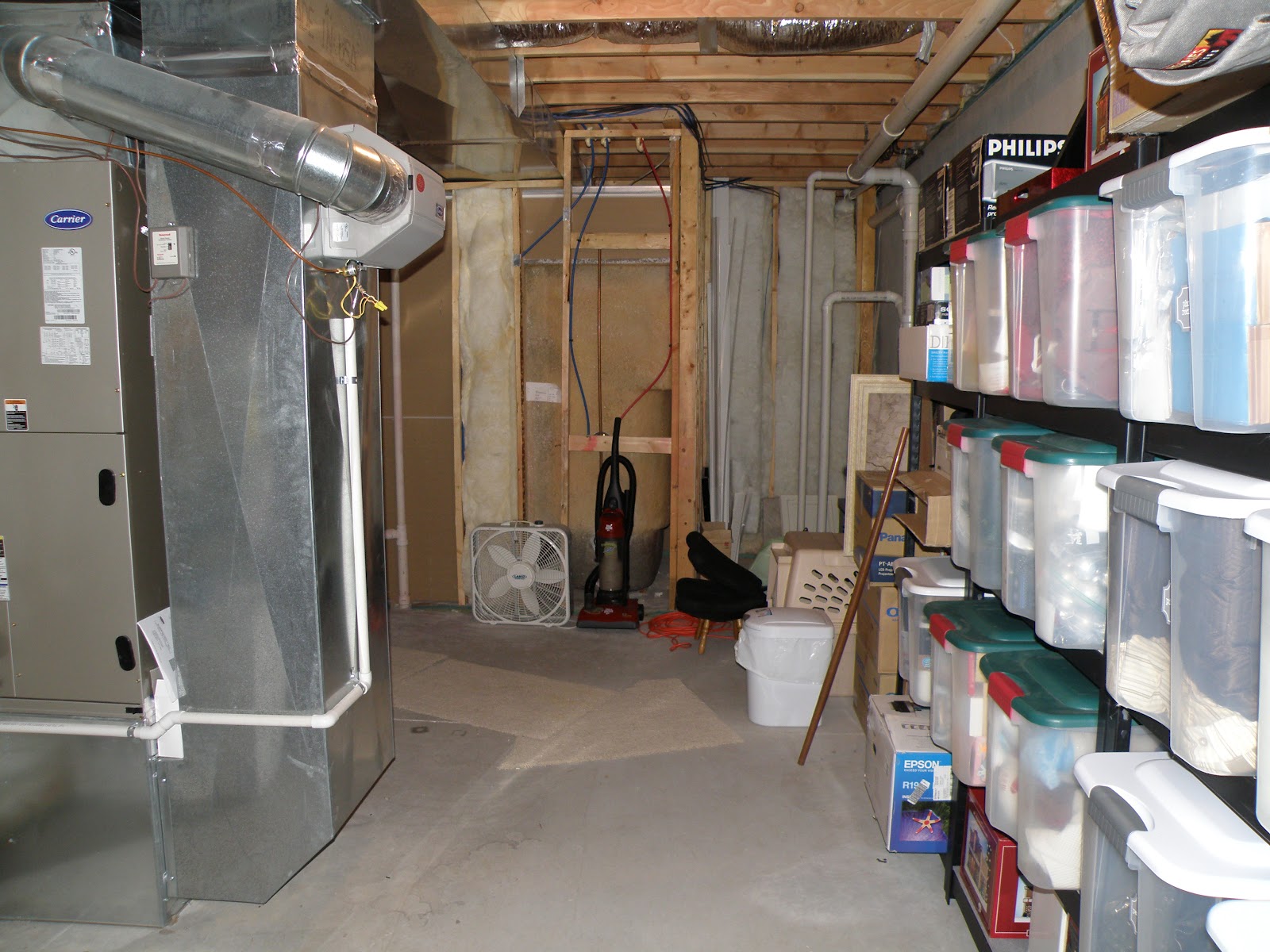 EmilyCourtHome: Basement: Bonus Room, 4th Bedroom, Storage