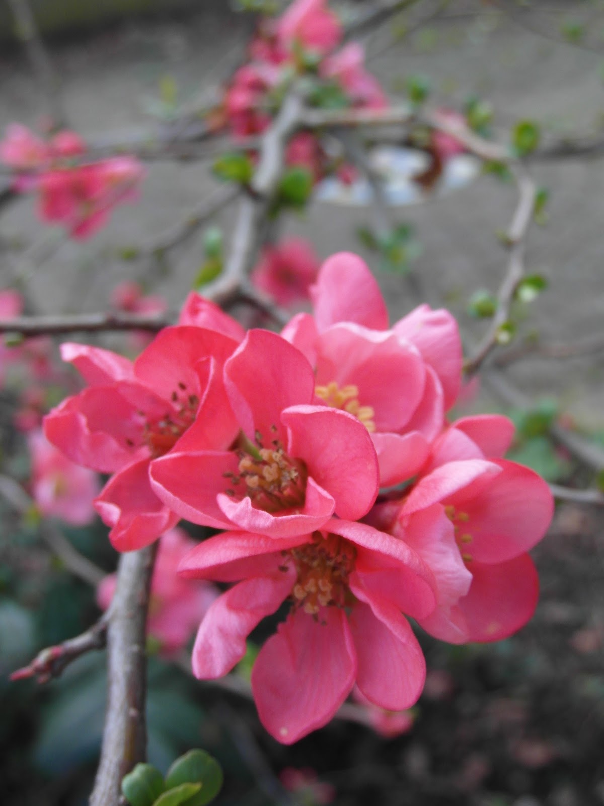 Just Call Me Frank: Our Endeavour at Being Frank: March 2012