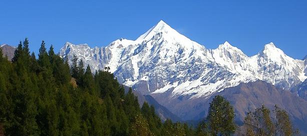 GREEN FOREST: Himalayan Forest