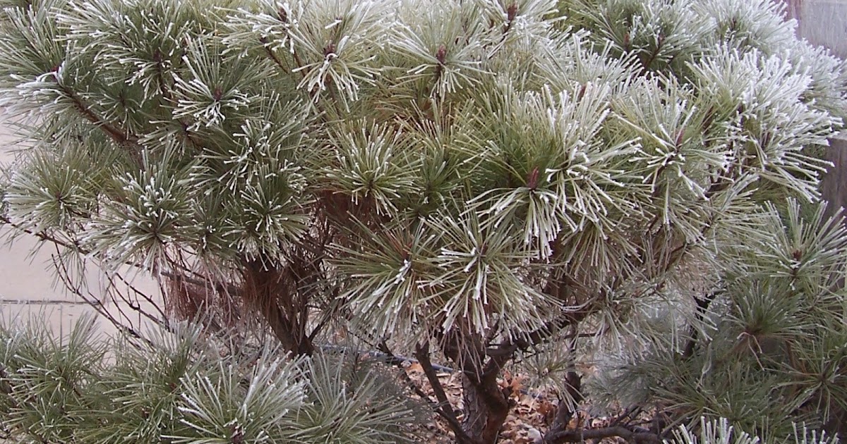 Literally Letty: Que, Sera, Sera