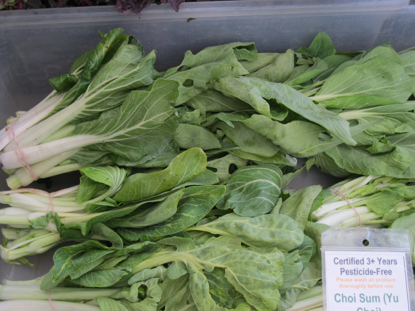 COCO LIVING: Farmers Market 101: Produce