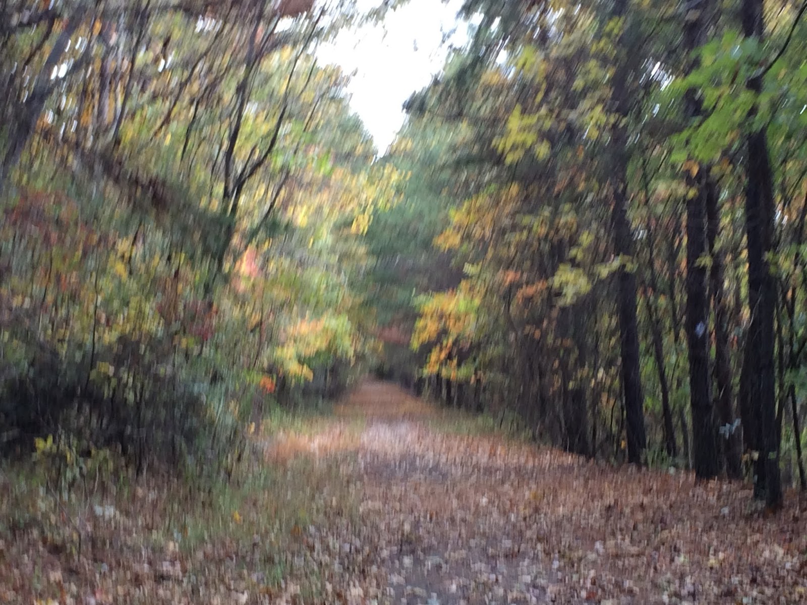 The Arthritic's Guide to Hiking in Northwest Georgia: The Georgia ...