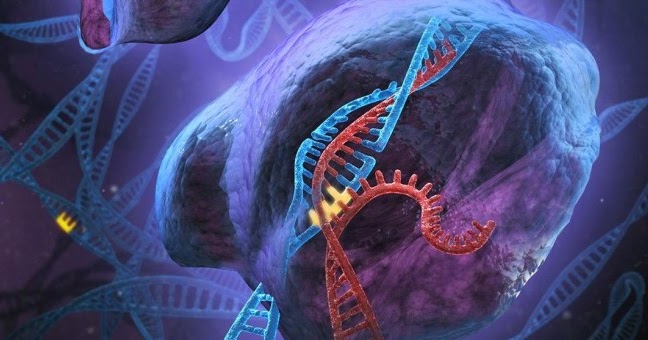 EDICIÓN DEL ADN HUMANO